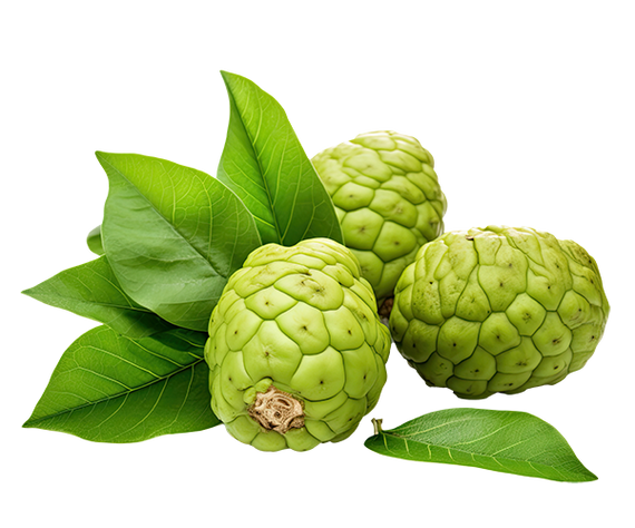 Kingfisher's Noni Story : All about Natural Power of Noni product